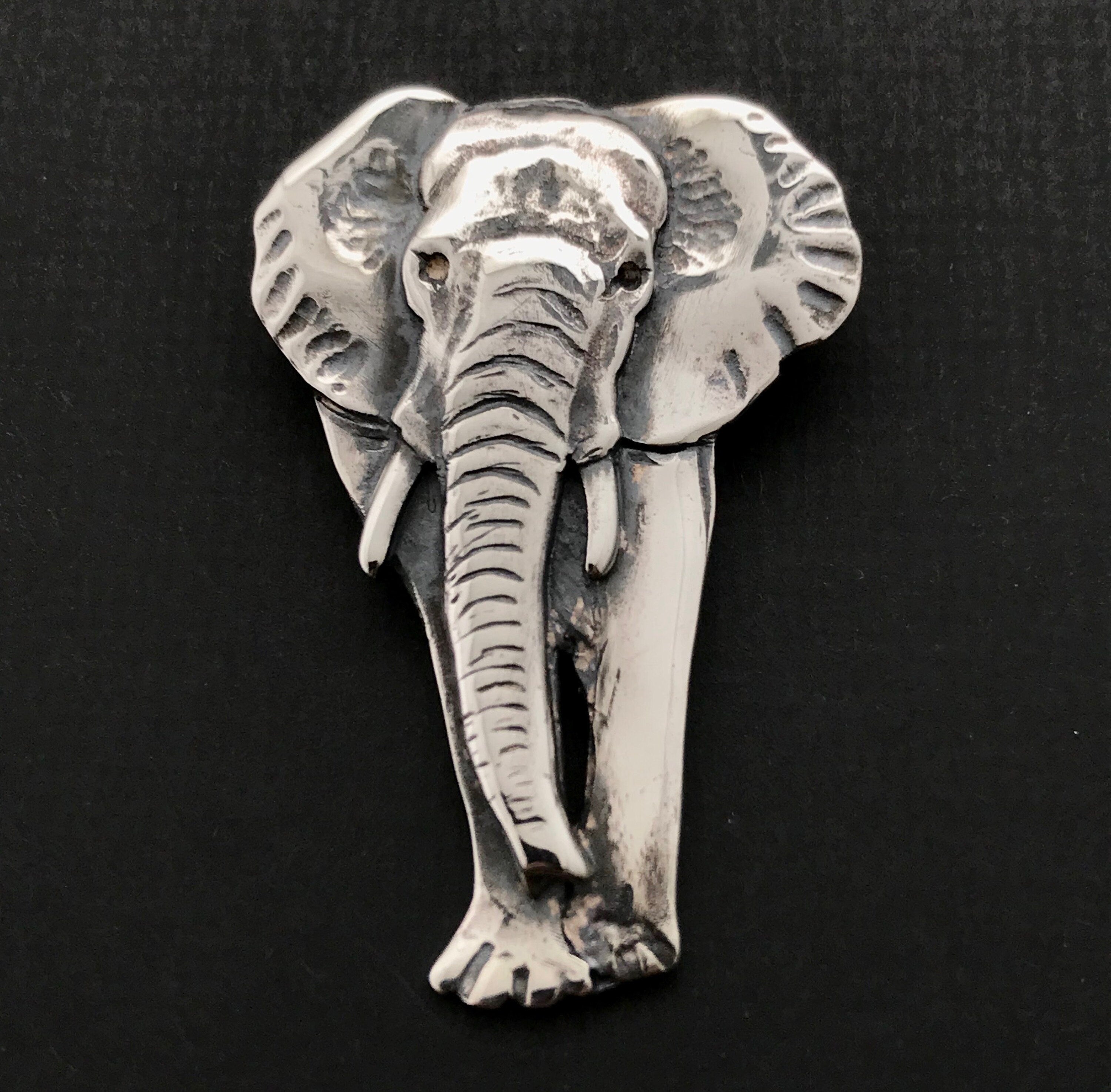 Endangered Animals – Silver Earth Design